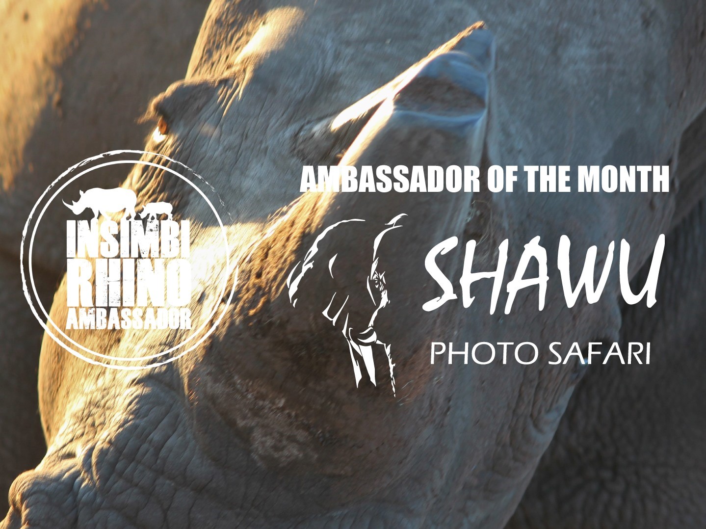 Rhino Ambassadors – Insimbi